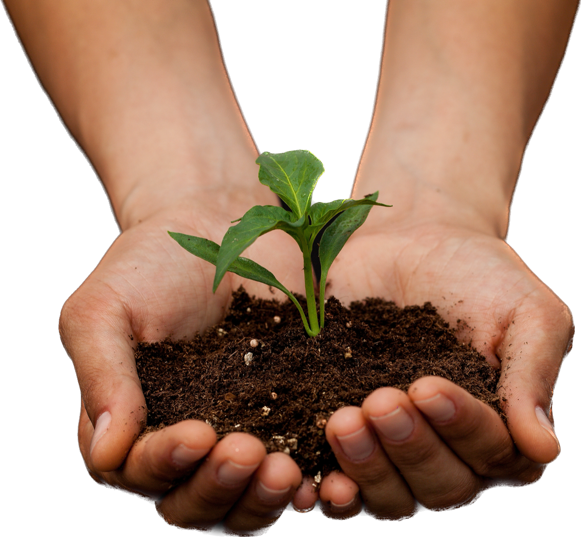 Biochar Carbon Removal | Puro.earth